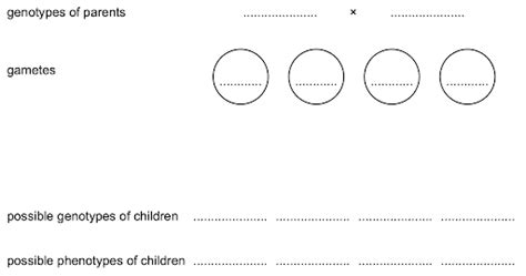 Inheritance Cambridge O Level Biology Exam Questions And Answers 2023