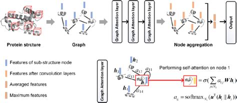 Graph Convolutional Neural Network Used For The Learning Of The Protein Download Scientific