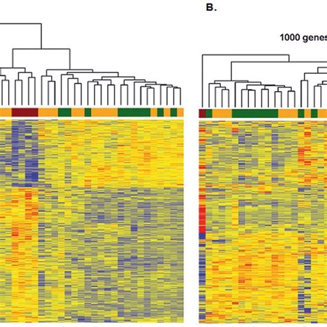 Supervised A And Unsupervised B Clustering Of Differentially Download Scientific Diagram