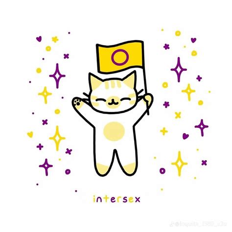 Upon Request I Also Fixed The Intersex Cat From Todays Lgtbq Cats