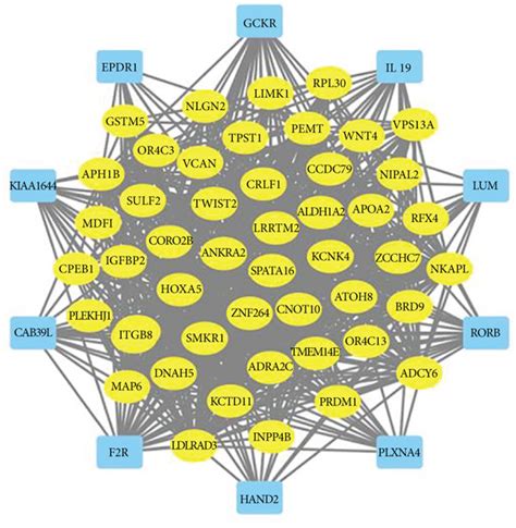 construction of a gene coexpression network centered on the hub genes