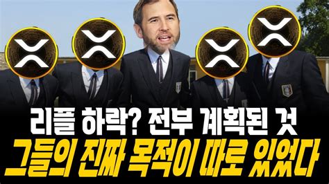 리플xrp 전망 리플 하락 전부 계획된 것 그들의 진짜 목적이 따로 있었다 업비트시황 코인시황 급등코인추천 리플