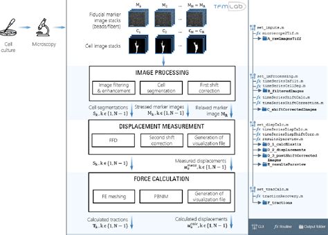 Figure 1 From Tfmlab A Matlab Toolbox For 4d Traction Force Microscopy