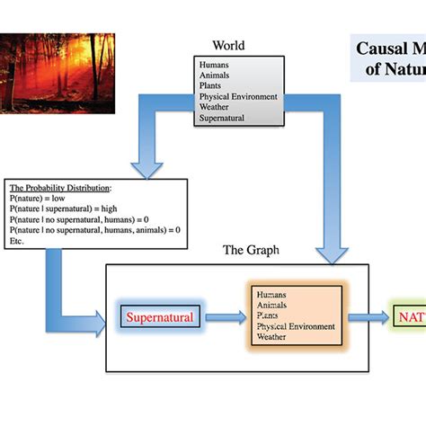 Three Causal Models Of Nature A Holistic B Supernatural And C