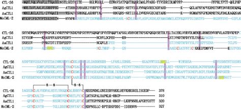 Figure 1 From A Pattern Recognition Receptor C Type Lectin S6 Ctl S6
