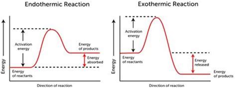 Exothermic Reaction Coordinate Diagram