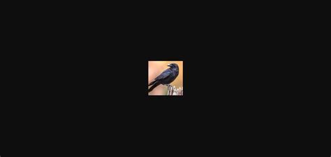github ahmedalsuwayni image processingapi