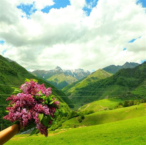 ყვავილების სამყარო თაიგული დამიბრუნდი🌹🌹🌹 Facebook