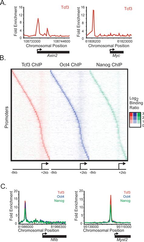 Tcf3 Is An Integral Component Of The Core Regulatory Circuitry Of