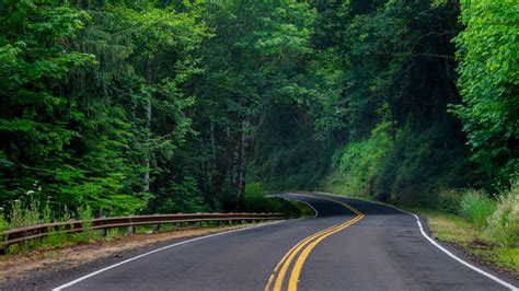 Oregons Scenic Byway Offers Hiking Trails With Coastal Views