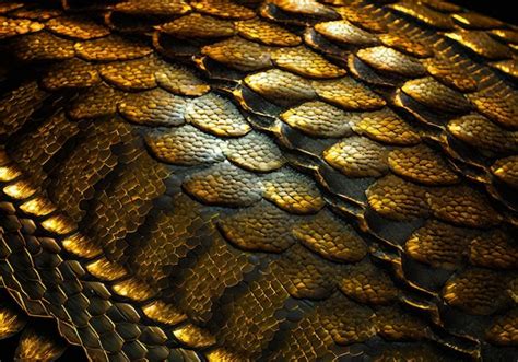 Premium Photo Scales Texture Closeup View Realistic Illustration