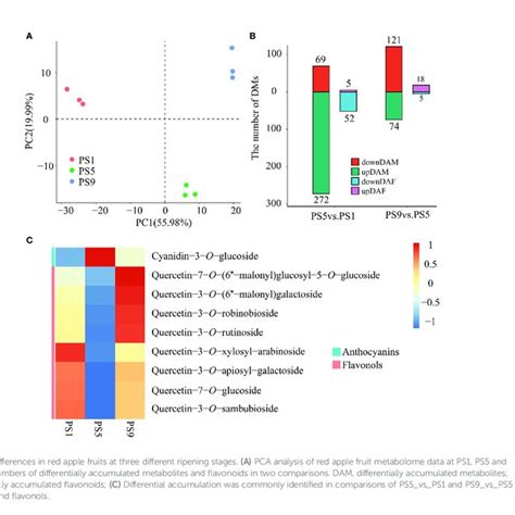 Comparative Transcriptome Analysis Of Red Apple Fruits At Three