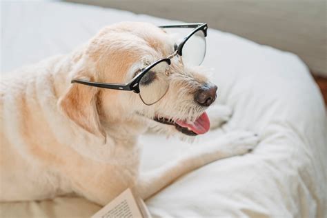 The Funny Math Behind Predictive Analytics In B2b Marketing