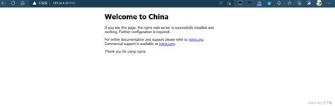 Docker 数据卷操作以及挂载nginxdocker挂载nginx数据卷 Csdn博客