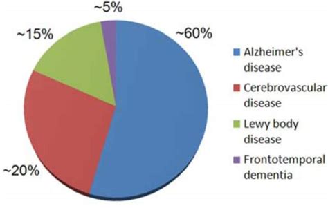The Silent Epidemic The Rise Of Neurodegenerative Diseases In The 21st