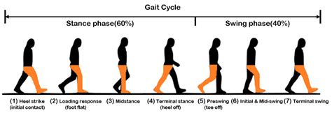 Online Gait Detection With An Automatic Mobile Trainer Inspired By Neuro Developmental Treatment