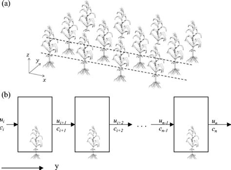 A Schematic Representing An Agricultural Field Where Row Crops Are