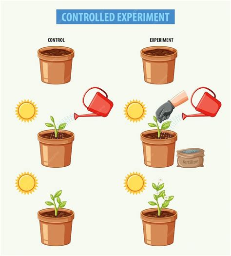 Premium Vector Scientific Test Biology Education Through Controlled Experiments