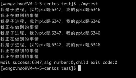 Linux回收僵尸进程主进程回收僵尸进程 Csdn博客
