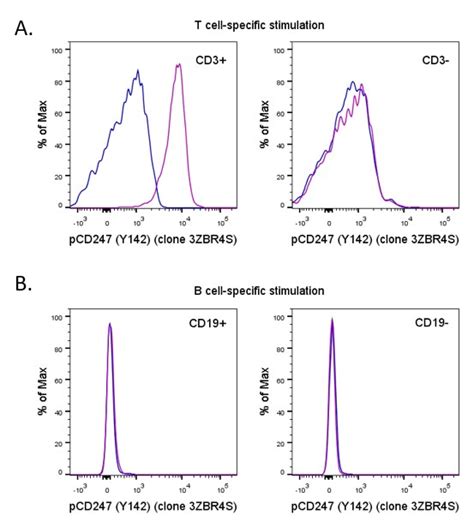 phospho cd247 how to add a tcr functionality marker to your tcell panel