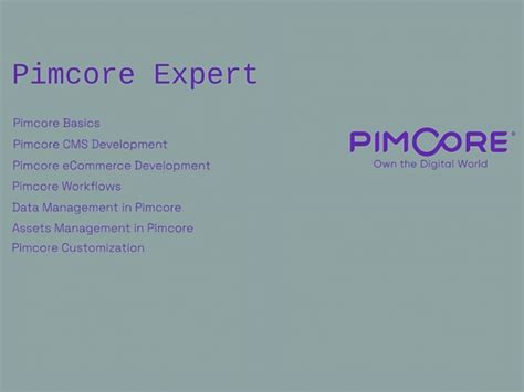 develop a comprehensive pimcore website