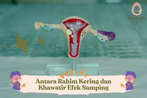 Rahim Kering Dan Efek Samping Penyebab Wanita Sulit Hamil