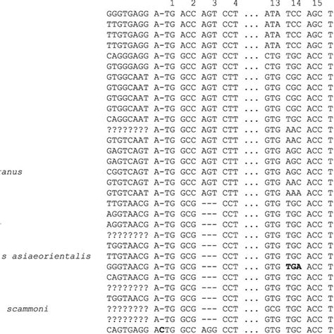 A Part Of The Nucleotide Sequence Alignment Of S100a3 Genes In Download Scientific Diagram