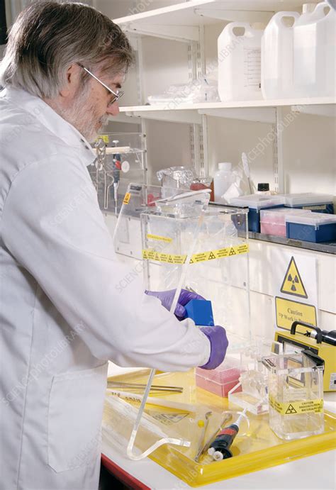 Handling Radioactive Materials Stock Image T1750136 Science Handling Radioactive Materials Stock Image T1750136 Science