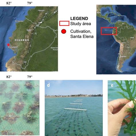 Variation Of Sea Surface Temperature Salinity And Turbidity Secchi Download Scientific