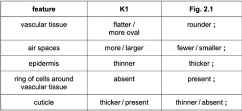 Practical Exam Flashcards Quizlet