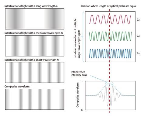 White Light Interferometer Lateral Resolution Shelly Lighting