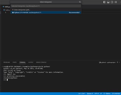 Python Not Found In WSL Even Though It S Installed Issue Microsoft Vscode Python GitHub
