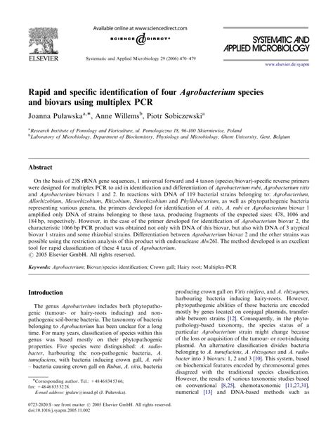 Pdf Rapid And Specific Identification Of Four Agrobacterium Species