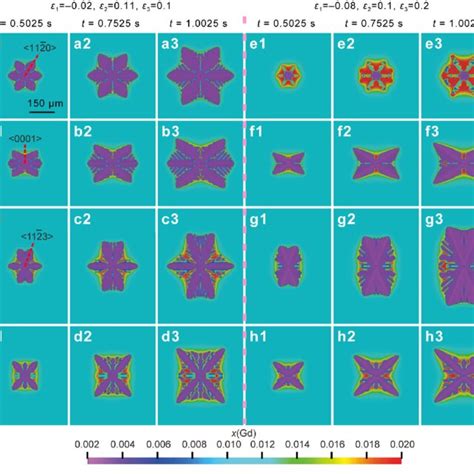 evolution of 2d microstructures revealed by cutting phase field