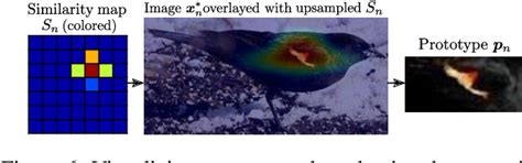 Figure 2 From Neural Prototype Trees For Interpretable Fine Grained Image Recognition Semantic