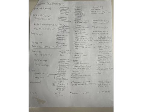 Connective Tissue Proper Ctp And Specialized Ct — Printable Worksheet