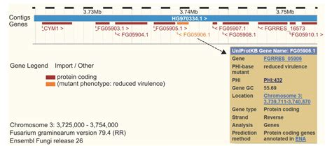 Figure 1 From Using The Pathogen Host Interactions Database Phi Base