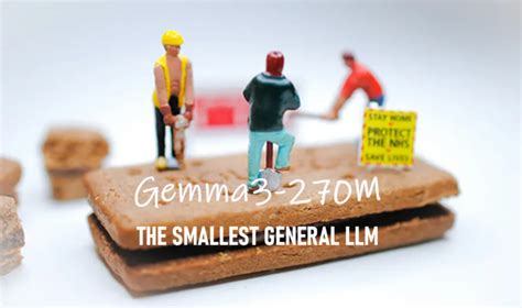 Gemma M最小通用LLM 汇智网