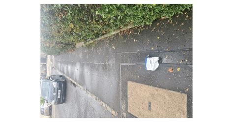 Essential Annotation Guidelines For Accurate Machine Learning Models