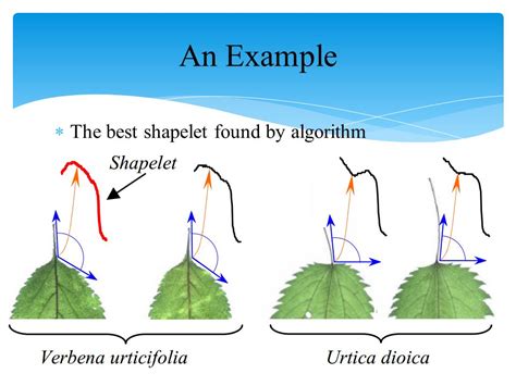 shapelet time series shapelets a new primitive for data mining（kdd2009） a shapelet transform
