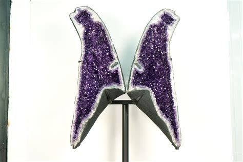 Gorgeous 61 Ft Tall Amethyst Geode Wings With Aaa Deep Purple