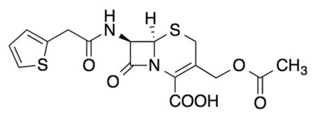 Cephalosporin C Flashcards Quizlet