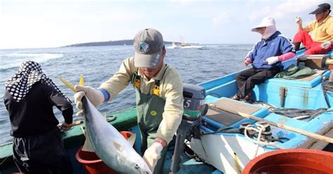 ‘방어 풍어에 미소짓는 제주 어민