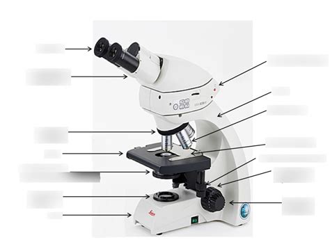 Cell Bio Lab Microscope Diagram Quizlet