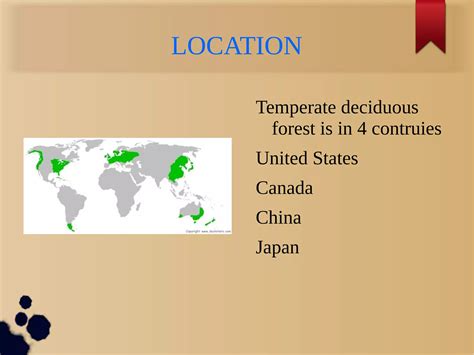 Temperate Deciduous Forest Odp