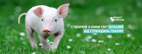 Sex Talks Запрошуємо Вас на майстер клас для психологів консультантів Поведінка клієнтів як