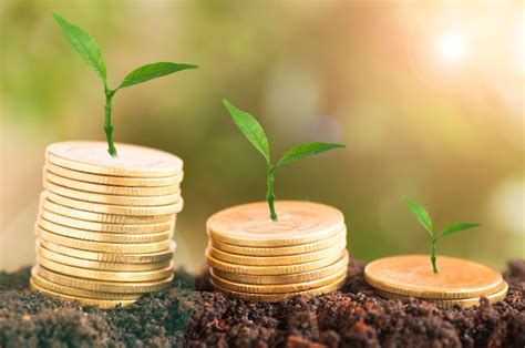Premium Photo Close Up Of Pot On Table