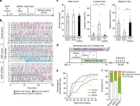 Sexual Rejection Via A Vomeronasal Receptor Triggered Limbic Circuit Nature Communications