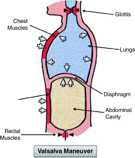 1 Valsalva Maneuver And Increased Pressure Inside Different Body
