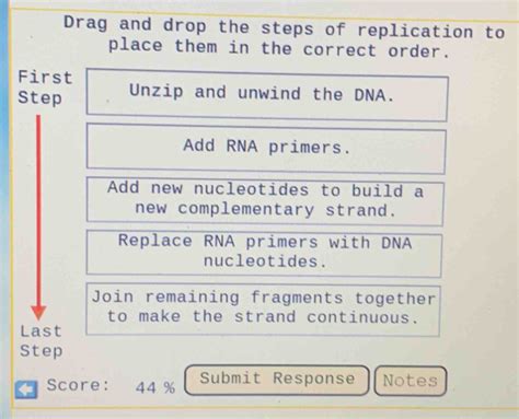 drag and drop the steps of replication to place them in the correct